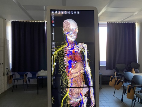 Teaching | Anatomy & Cell Biology | UMG